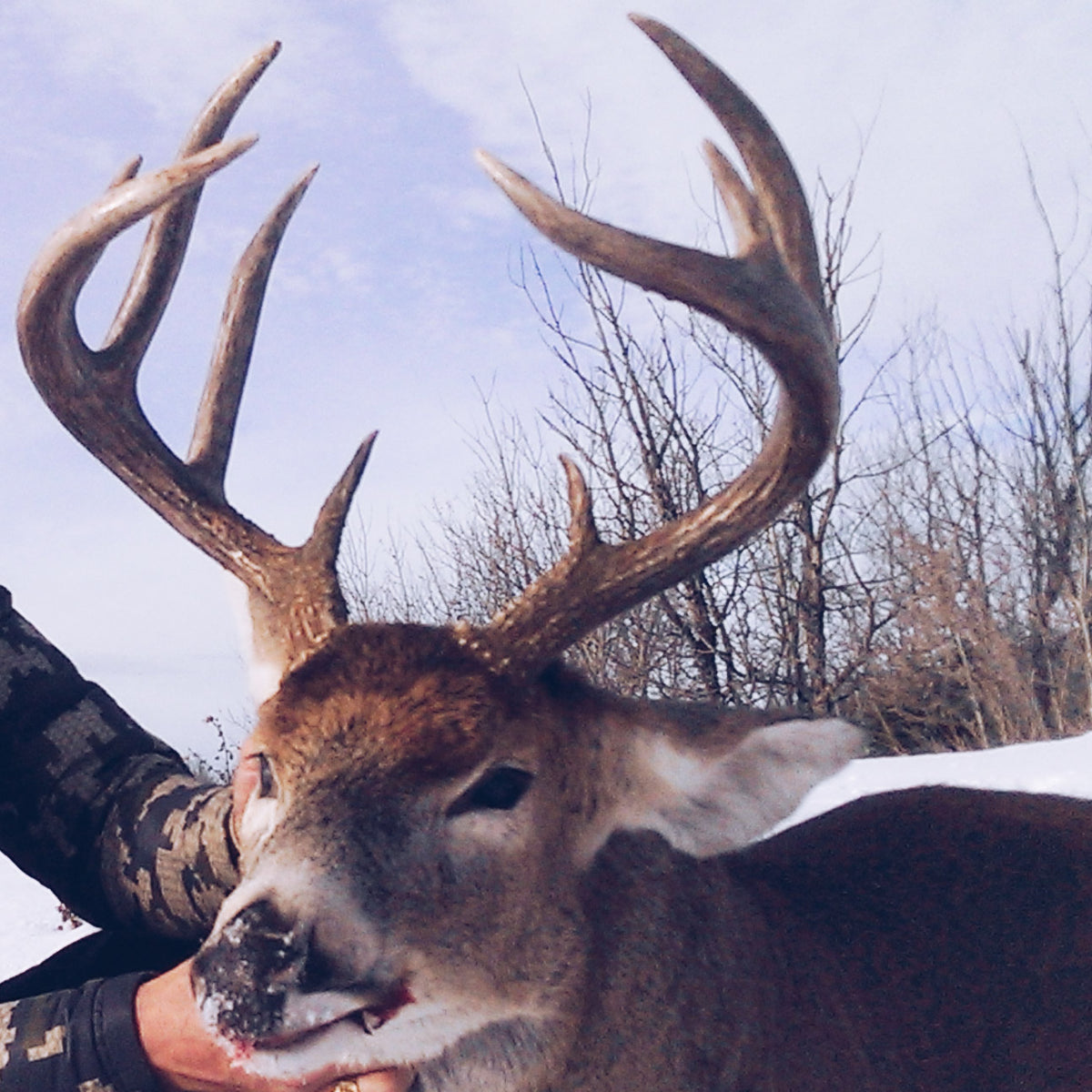 Monster Alberta Bucks – Last West Outfitting